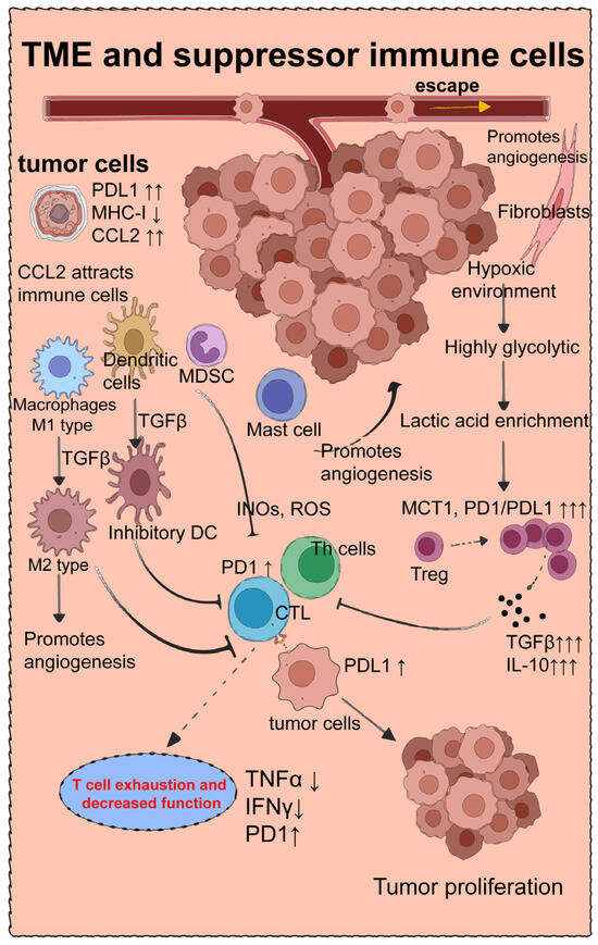 Balancing Tumor Immunotherapy and Immune-Related Adverse Events ...
