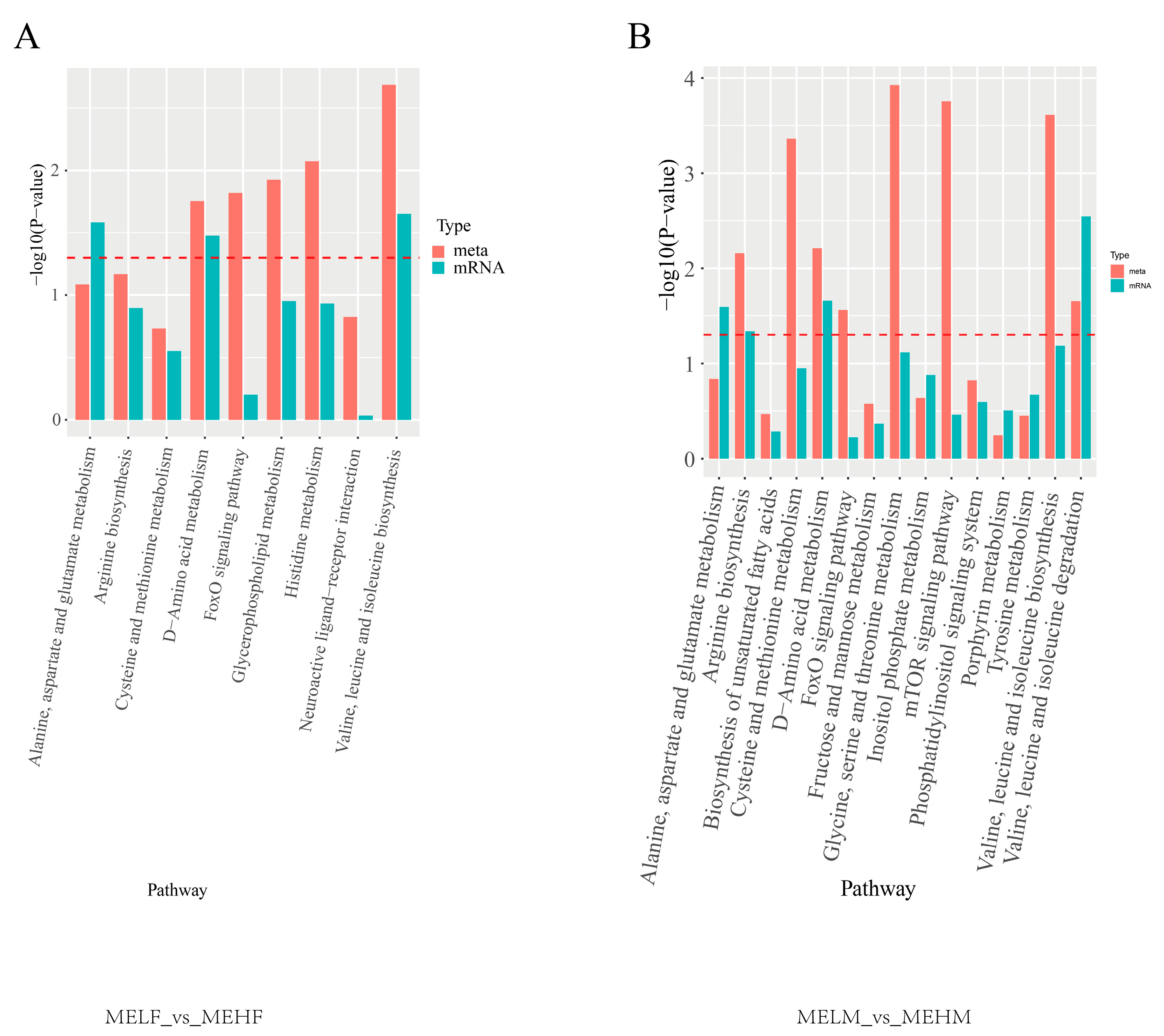 Unveiling the Molecular Mechanisms Regulating Muscle Elasticity in the ...