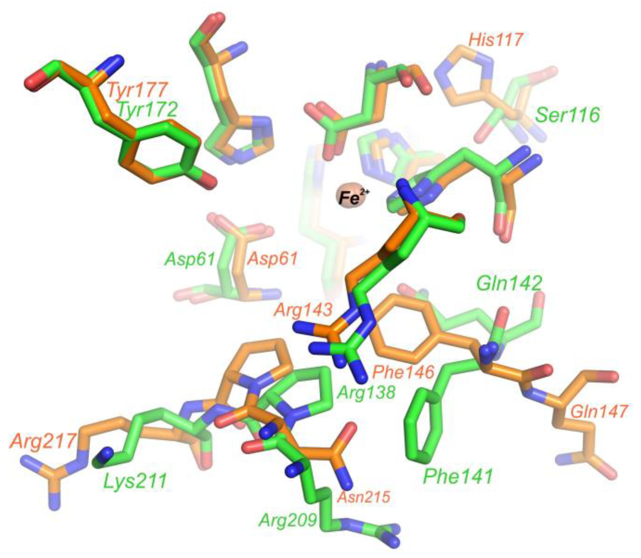 Mechanism of Intracellular Elemental Sulfur Oxidation in Beggiatoa ...