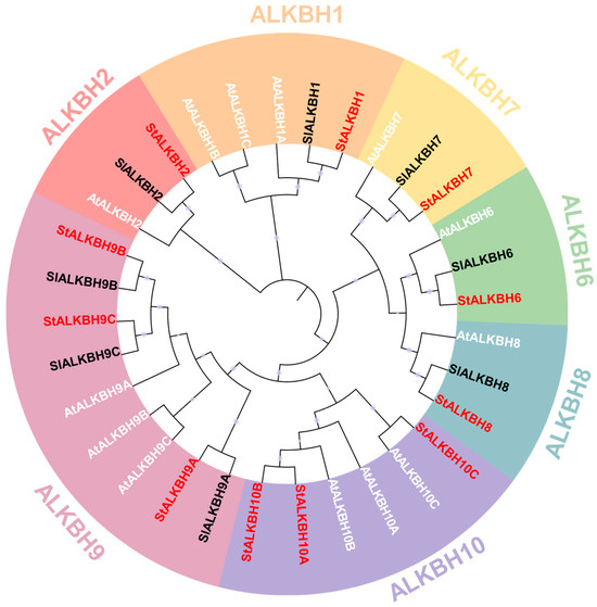 Genome-Wide Identification and Expression Analysis of the ALKB Homolog ...