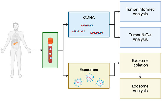 Liquid Biopsy in Pancreatic Ductal Adenocarcinoma: A Review of Methods ...