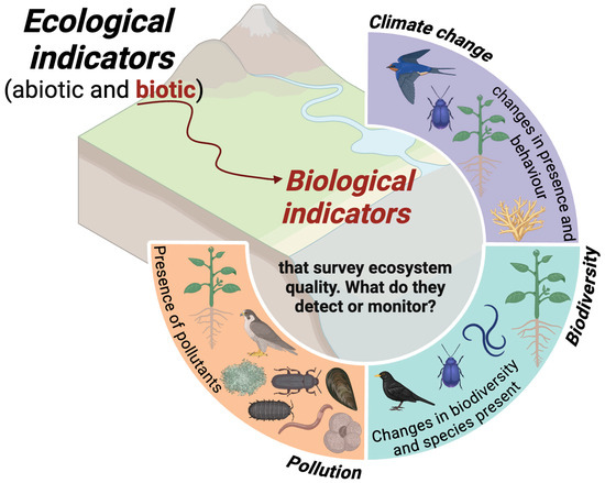 Environmental Diagnosis through a Flow Cytometric Approach