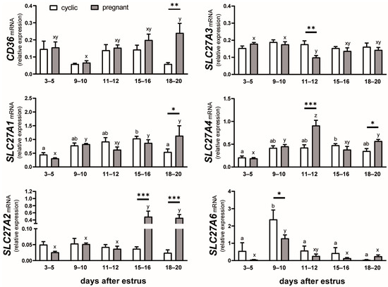 Expression Profiles of Fatty Acid Transporters and the Role of n-3 and ...