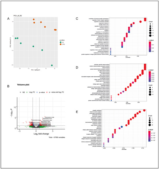 A Map of Transcriptomic Signatures of Different Brain Areas in ...
