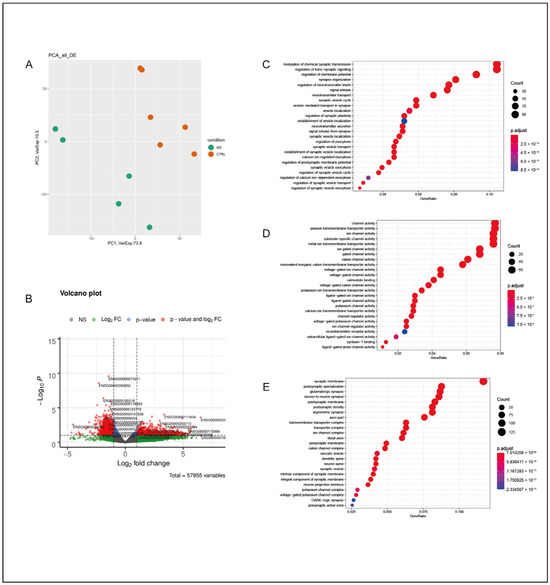 A Map of Transcriptomic Signatures of Different Brain Areas in ...