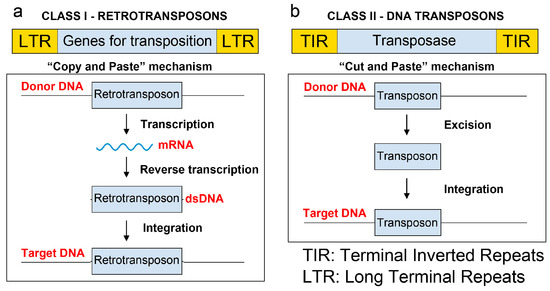 Essential Genes Discovery in Microorganisms by Transposon-Directed Sequencing (Tn-Seq ...