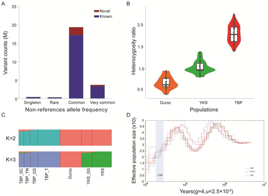Genetic Adaptations of the Tibetan Pig to High-Altitude Hypoxia on the ...