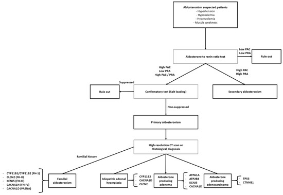 Molecular and Genetics Perspectives on Primary Adrenocortical ...