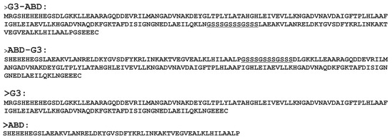 Structural Basis of Activity of HER2-Targeting Construct Composed of ...