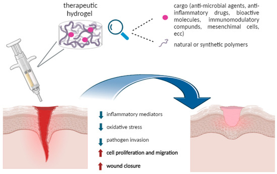 Use of Hydrogels in Regenerative Medicine: Focus on Mechanical Properties