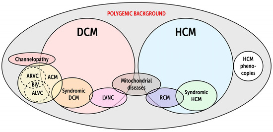 Dilated Cardiomyopathy: A Genetic Journey from Past to Future