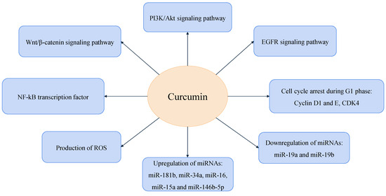 Curcumin Administration Routes in Breast Cancer Treatment