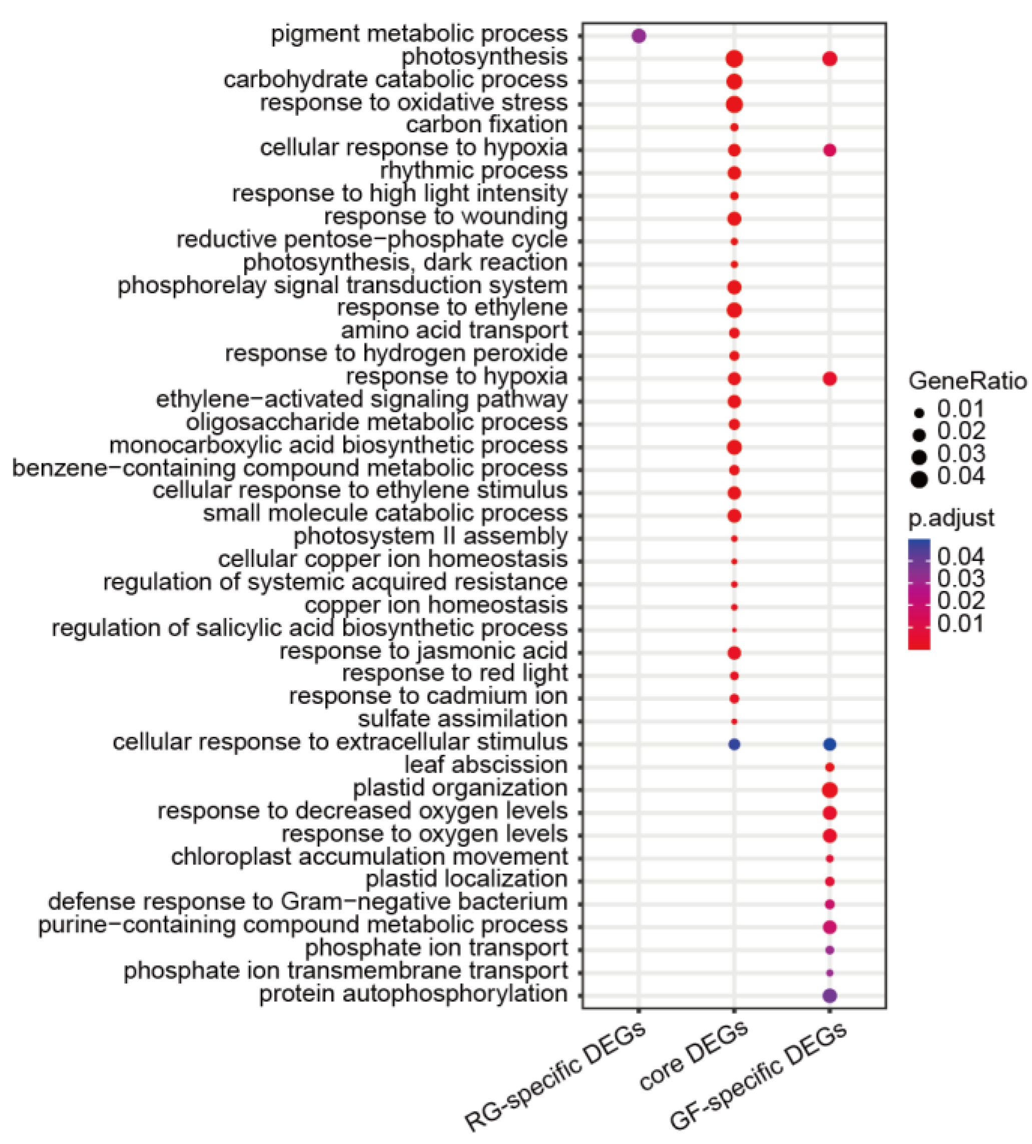Time-Course Transcriptome Analysis Reveals Distinct Transcriptional ...