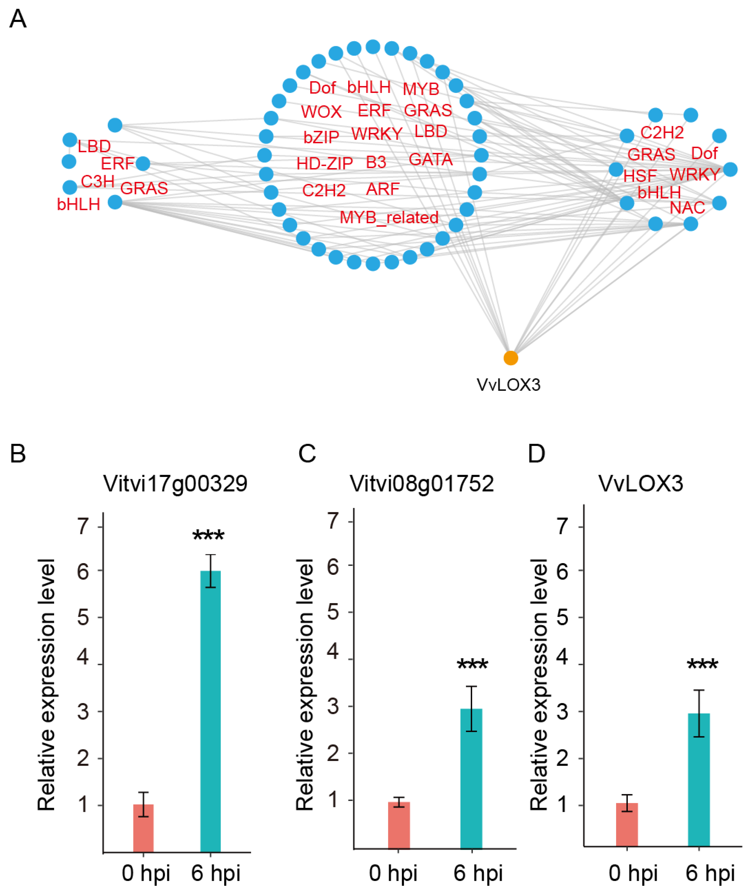 Time-Course Transcriptome Analysis Reveals Distinct Transcriptional ...