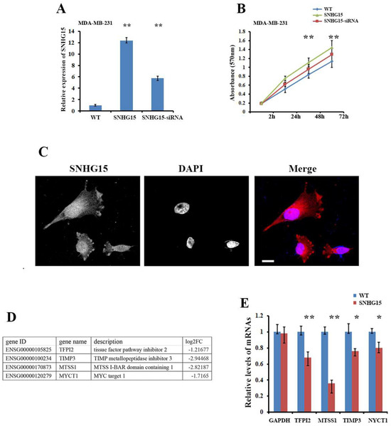 SNHG15 Mediates MTSS1 Gene Expression via Interacting with the Gene ...