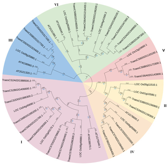 Genome-Wide Identification, Characterization and Expression Patterns of ...