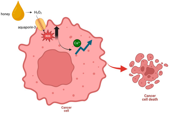 Understanding the Anticancer Properties of Honey