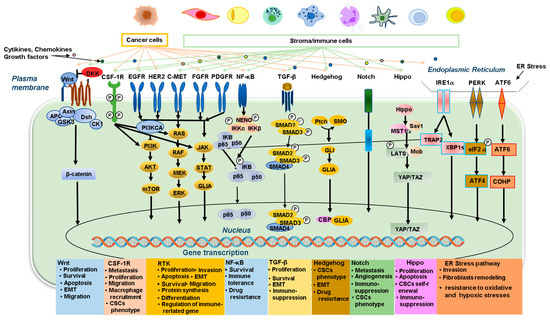 Molecular Mechanism for Malignant Progression of Gastric Cancer Within ...