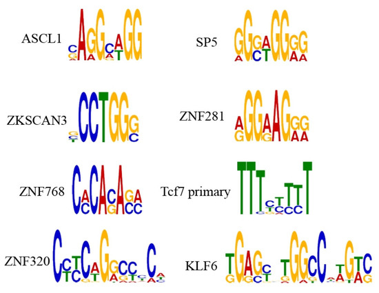 DeepDualEnhancer: A Dual-Feature Input DNABert Based Deep Learning ...