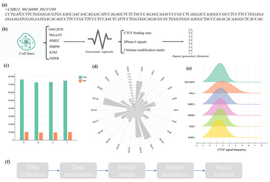 DeepDualEnhancer: A Dual-Feature Input DNABert Based Deep Learning ...