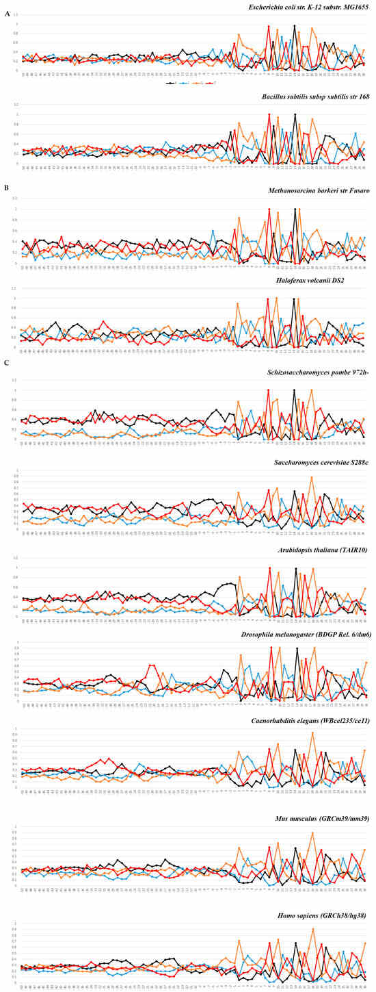 Structural Features of DNA in tRNA Genes and Their Upstream Sequences
