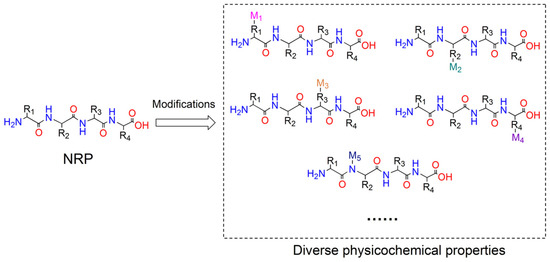 Structure, Function and Engineering of the Nonribosomal Peptide ...