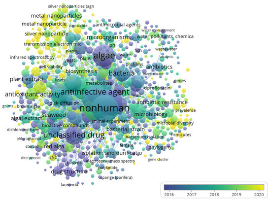 Natural Antimicrobial Agents from Algae: Current Advances and Future ...