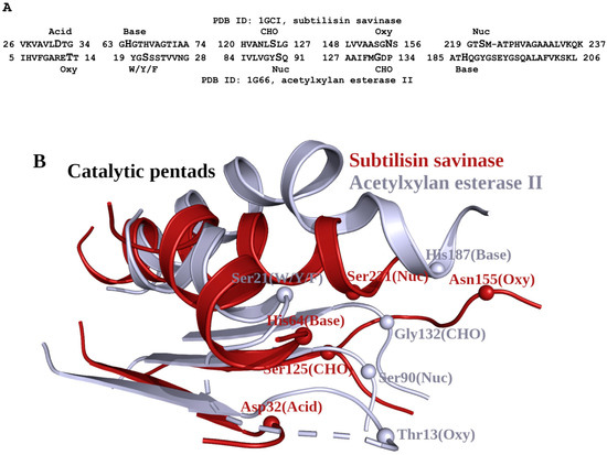Structural Catalytic Core in Subtilisin-like Proteins and Its ...