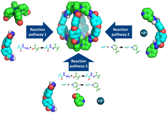 Synthesis of a Pd2L4 Hydrazone Molecular Cage Through Multiple Reaction ...