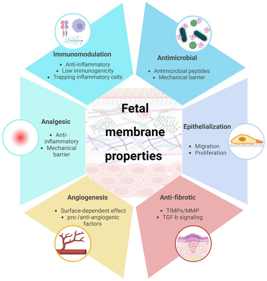 Application of Fetal Membranes and Natural Materials for Wound and ...