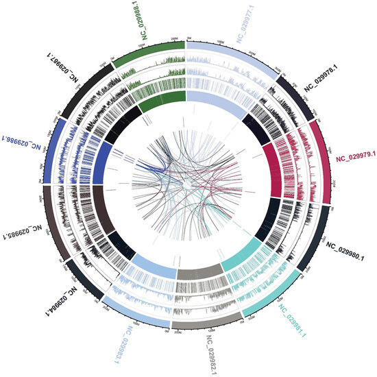 Genetic Variation Study of Several Romanian Pepper (Capsicum annuum L ...