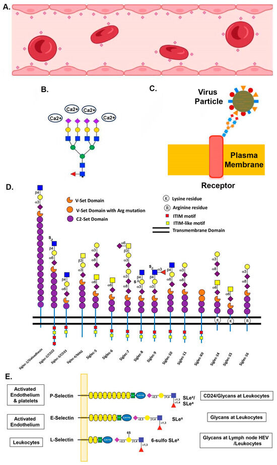 Mechanistic and Therapeutic Implications of Protein and Lipid ...