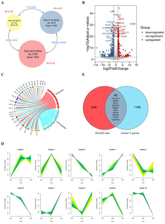 Regulatory Role of Nfix Gene in Sheep Skeletal Muscle Cell Development ...