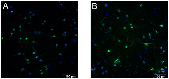 Inhibition of IRAP Enhances the Expression of Pro-Cognitive Markers ...