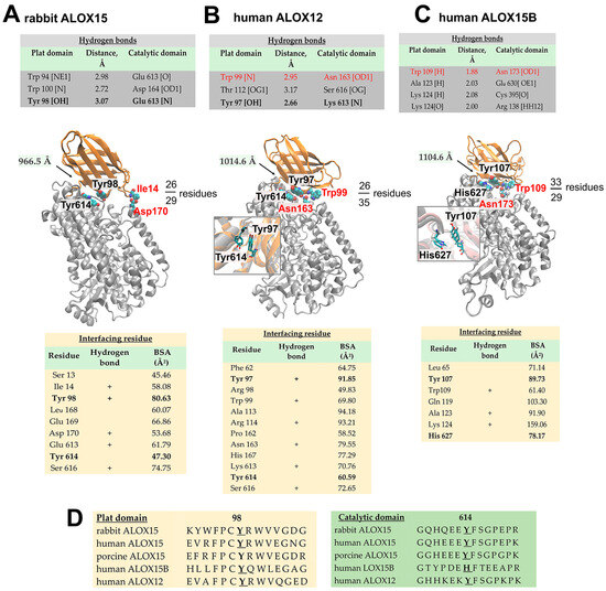 Structural and Functional Biology of Mammalian ALOX Isoforms with ...