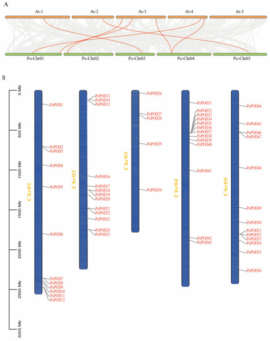 Integration of Genome-Wide Identification and Transcriptome Analysis of ...
