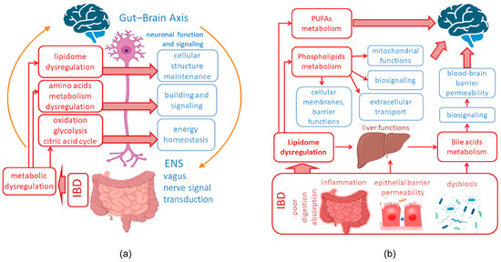 Underneath the Gut–Brain Axis in IBD—Evidence of the Non-Obvious