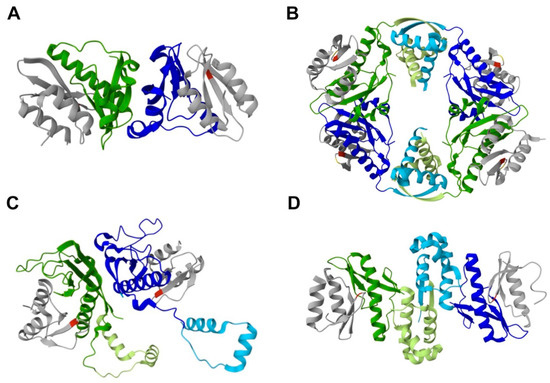 The HicAB System: Characteristics and Biological Roles of an ...