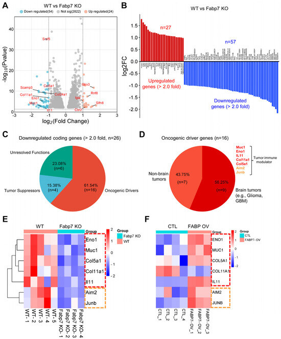 Integrated Transcriptome Profiling and Pan-Cancer Analyses Reveal Oncogenic Networks and Tumor ...