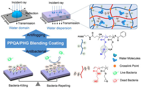 Designing Antibacterial-Based Quaternary Ammonium Coatings (Surfaces ...
