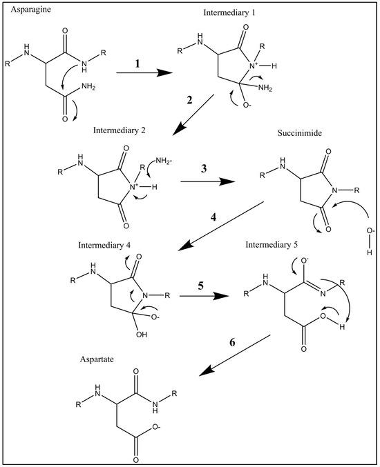 The Fundamental Neurobiological Mechanism of Oxidative Stress-Related ...