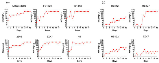 Collateral Sensitivity to β-Lactam Antibiotics in Evolved Apramycin ...