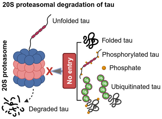 The Mechanistic Link Between Tau-Driven Proteotoxic Stress and Cellular ...