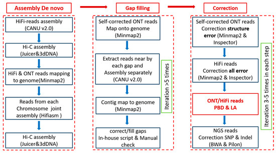 The T2T Genome of the Domesticated Silkworm Bombyx mori