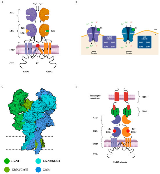 NMDA Receptors in Neurodevelopmental Disorders: Pathophysiology and ...
