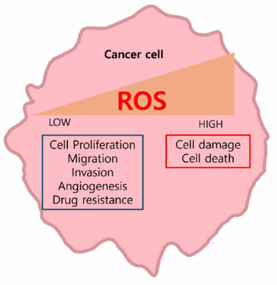 Oxidative Stress and Cancer Therapy: Controlling Cancer Cells Using ...