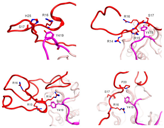 Structure of Full-Length Src Kinase and Its Key Phosphorylated States ...