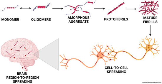 Targeting Protein Misfolding and Aggregation as a Therapeutic Perspective in Neurodegenerative ...
