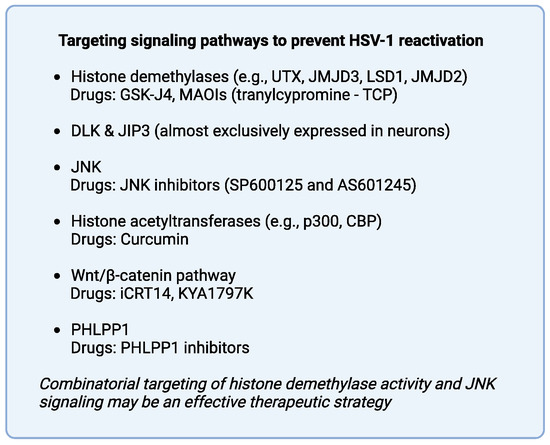 Vistas in Signaling Pathways Implicated in HSV-1 Reactivation