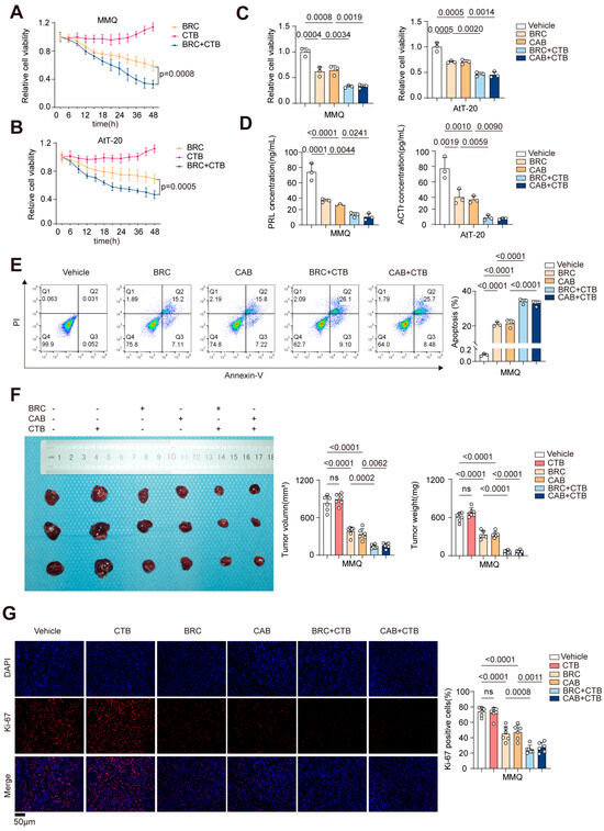 The Activation of p300 Enhances the Sensitivity of Pituitary Adenomas ...